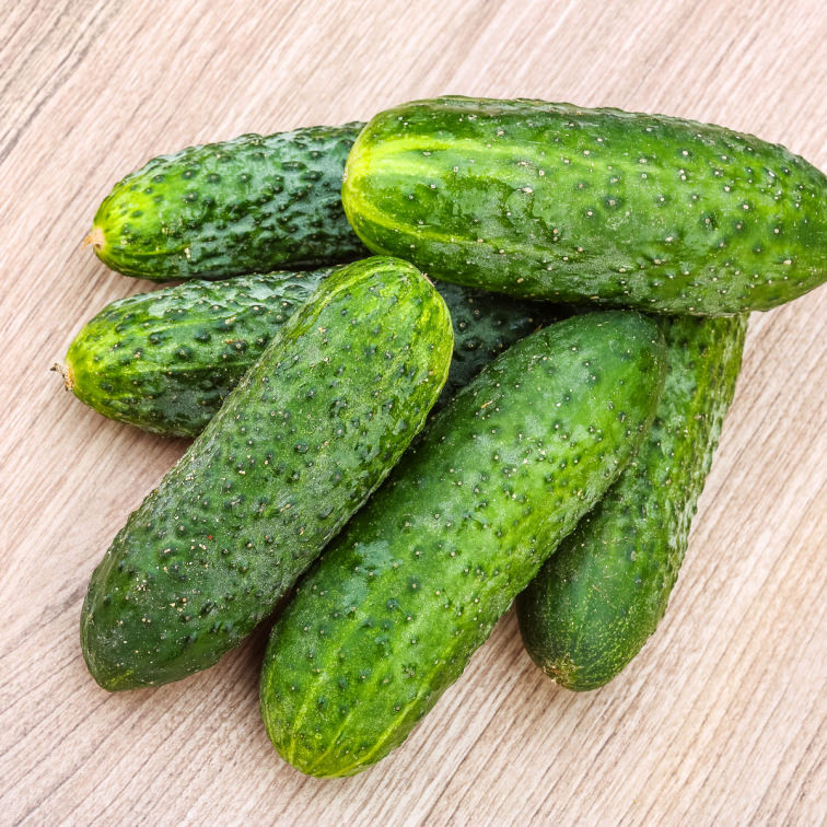 Cetriolo, un ortaggio semplice da coltivare sul balcone