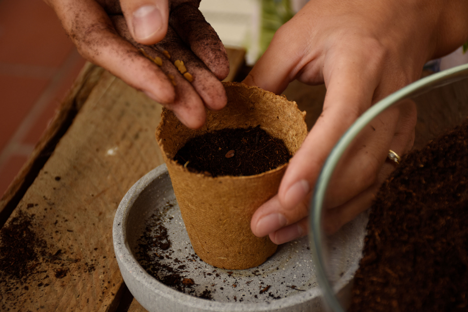 Semina degli ortaggi: la guida completa » undergreen.it